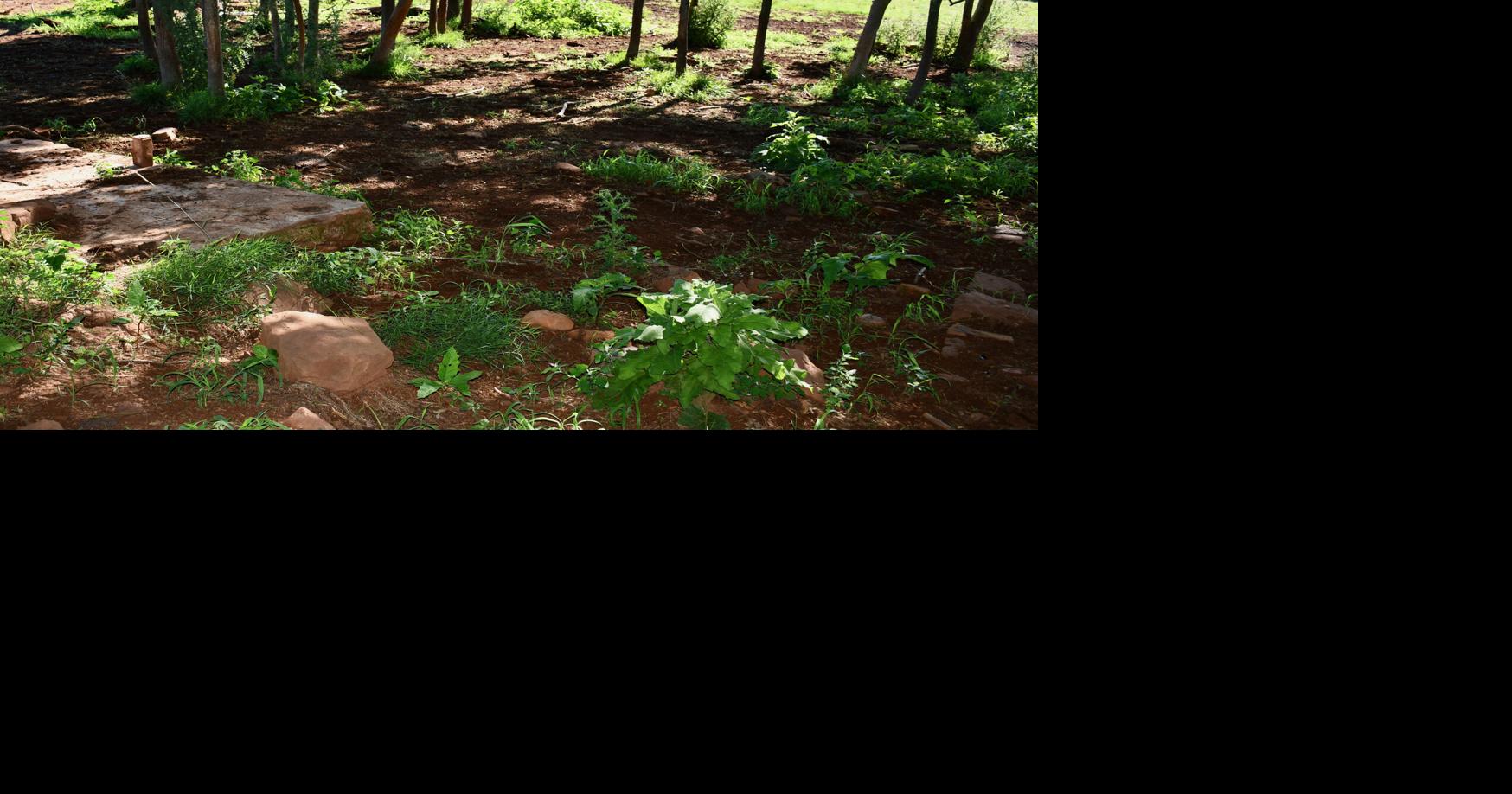 County approves McDevitt Dr. rezoning for Culpeper Technology Campus