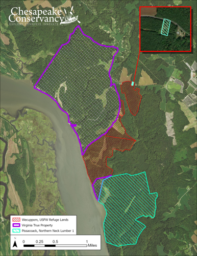 A part of ancestral homelands on Fones Cliffs is restored to the ...