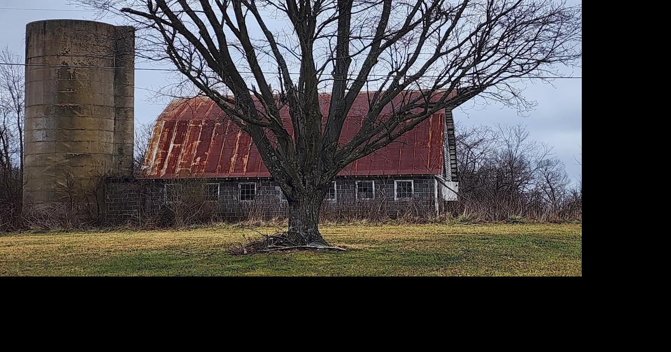 Black History Month series: the Lewises were a family of farmers