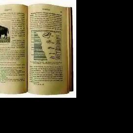 MUSEUM'S NEW GALLERY A FIRST