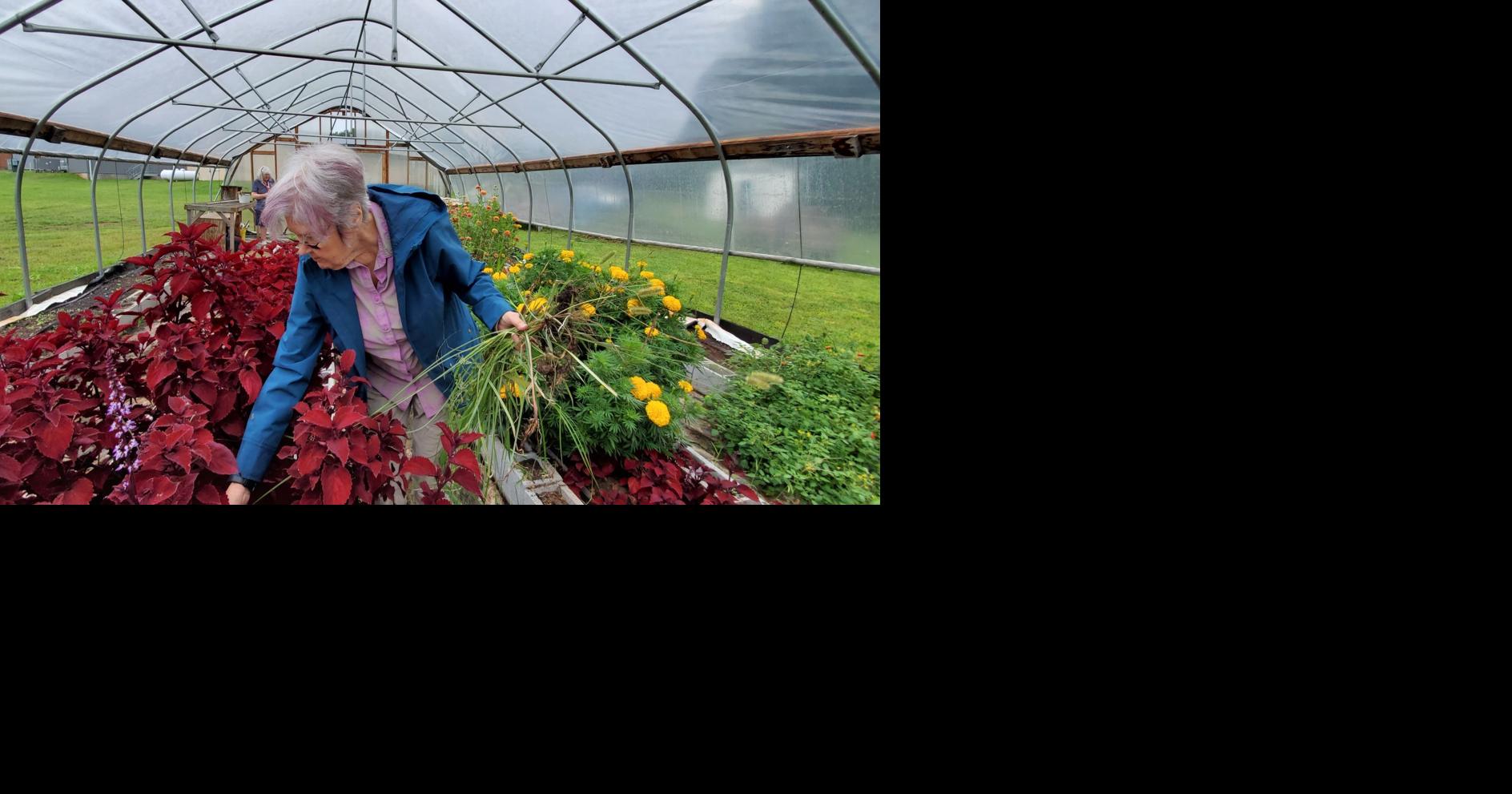 Tilling the soil: visit the Carver Fair on Culpeper Farm Tour
