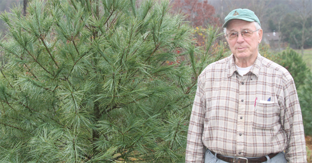 Oak Shade Christmas tree farm is Agribusiness of the Year