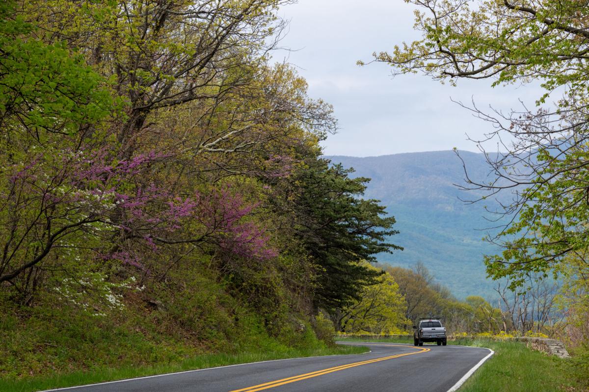 Shenandoah National Park starts sobriety checks