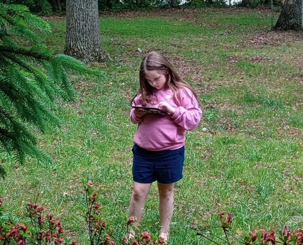 Math wizards: Culpeper elementary school wins Prodigy State Challenge