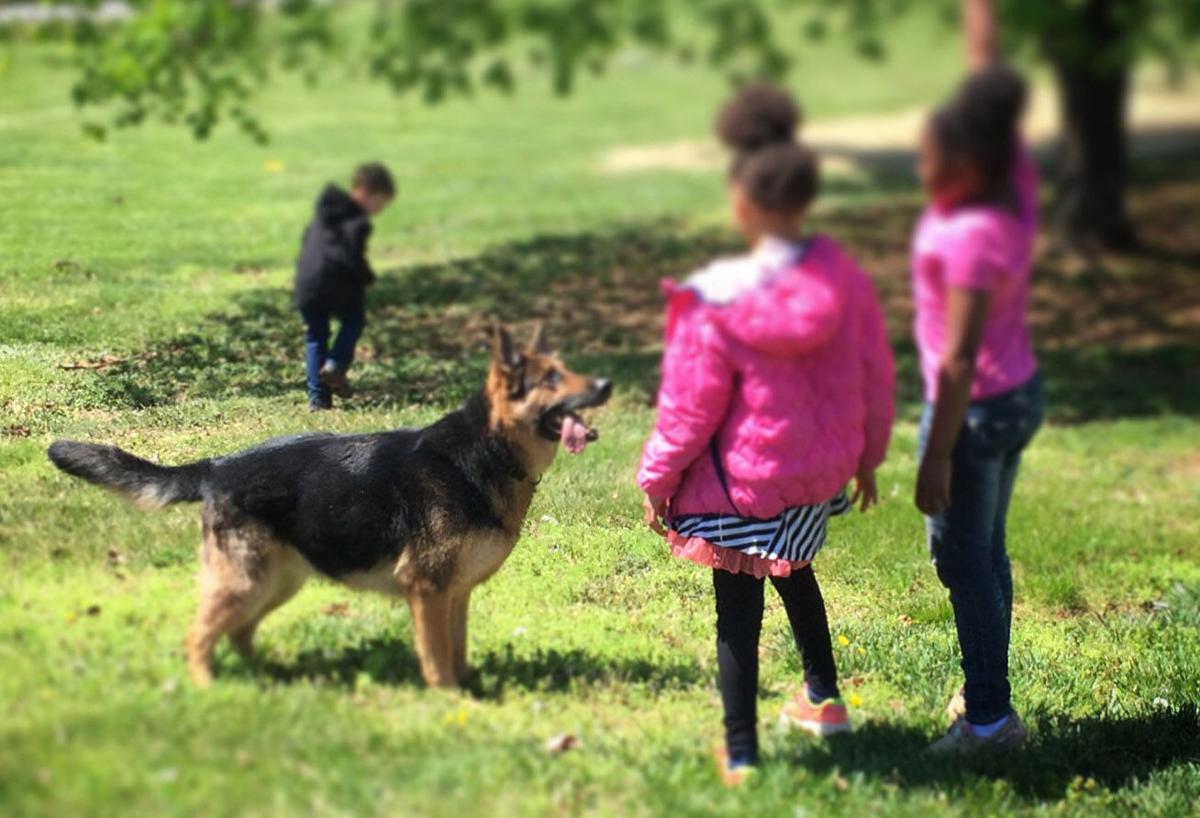 A mission of healing and hope: Childhelp celebrates 65 years at Shining ...