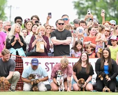 The Starkville Derby: Dachshund Dash set to be a tail-wagging good time ...
