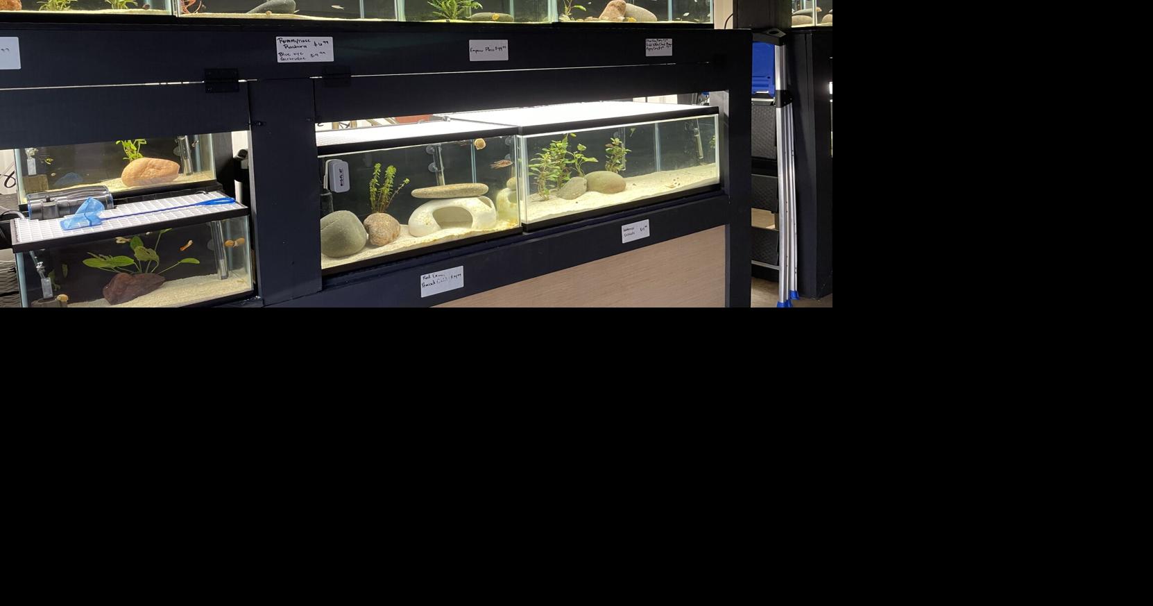 Reef and Leaf: Five friends, one focus | News | starkvilledailynews.com
