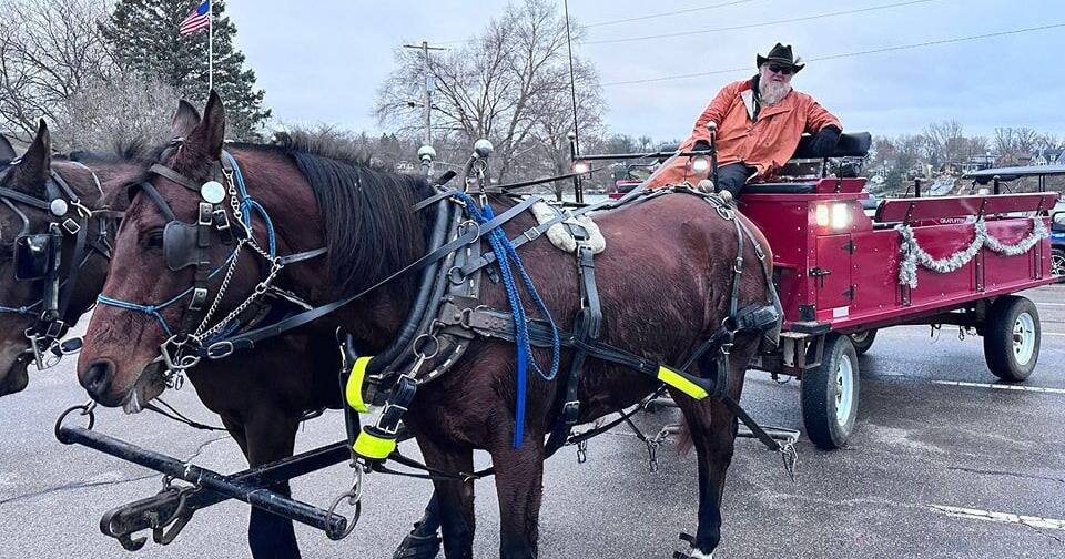 Carriage rides available at Rotary Park's Celebration of Lights | 103.9 ...