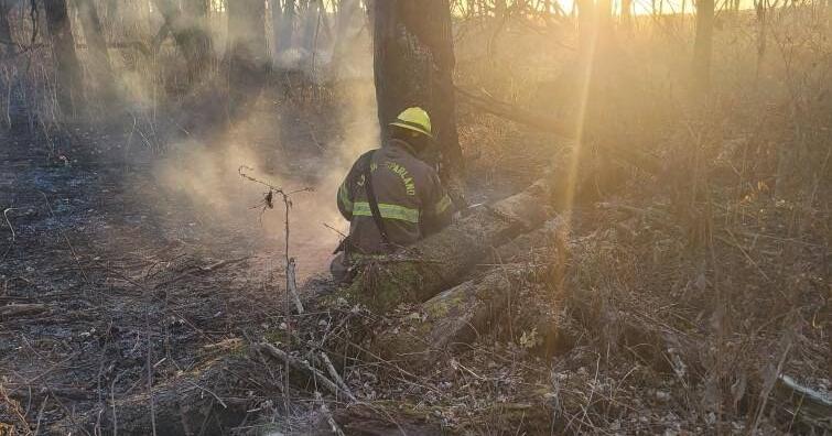 Timber Fire Breaks Out In Fish And Wildlife Area Near Lacon | 103.9 ...