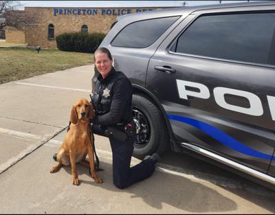 Princeton Police Department’s K9 Lucy to get donation of body armor ...