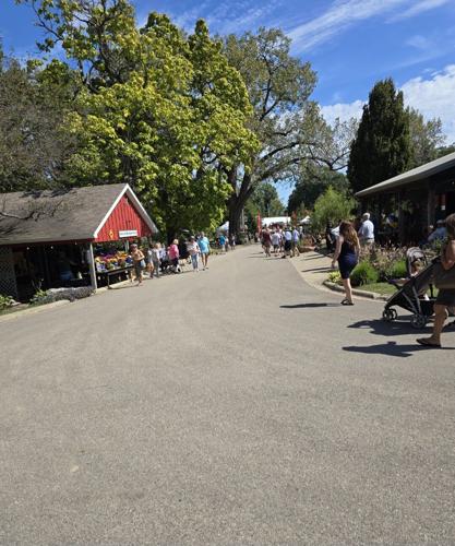 Artists fascinate crowd at Hornbaker Artisan Fair | 103.9 WLPO ...
