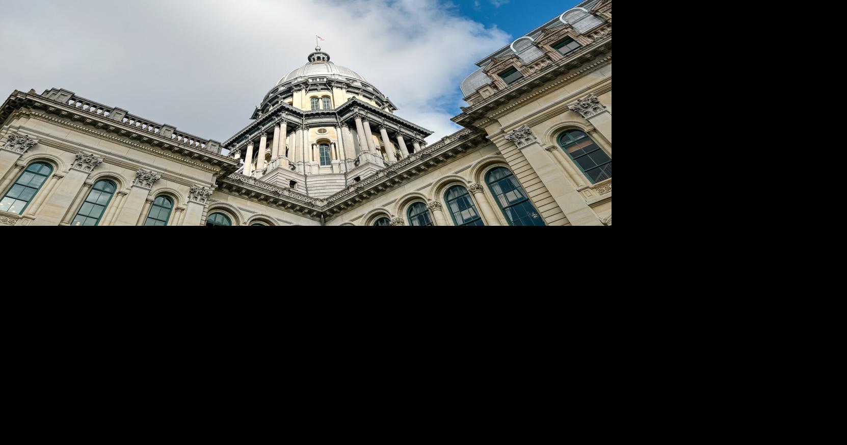 Seven Illinois Counties Vote to Secede, But Raoul Says It's ...