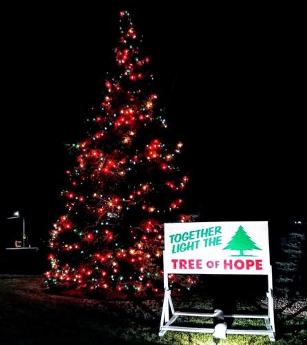 Tree of Hope Donations Close to Horizon House Goal | 103.9 WLPO ...