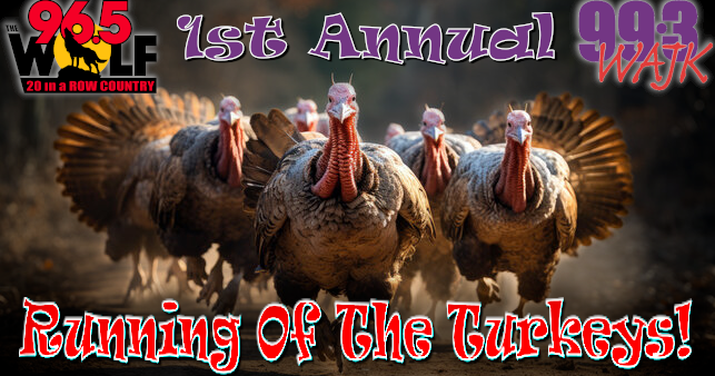 Brad & Jaimie's First Annual Running of the Turkeys | 99.3 WAJK.com ...