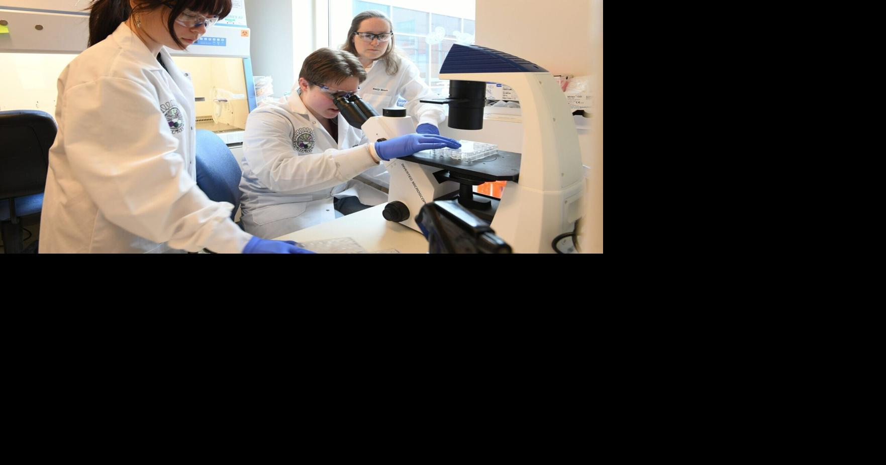 ‘Accidental’ breakthrough helps develop new ways to prevent flu ...