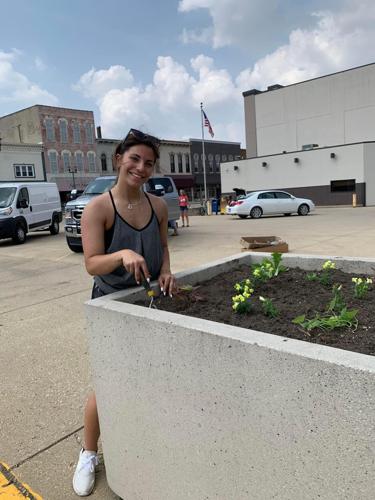 Sunflower garden planted by Mendota Garden Club | News | starvedrock.media