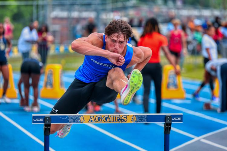 ALL-COUNTY TRACK & FIELD: Heal, Johnson set the pace
