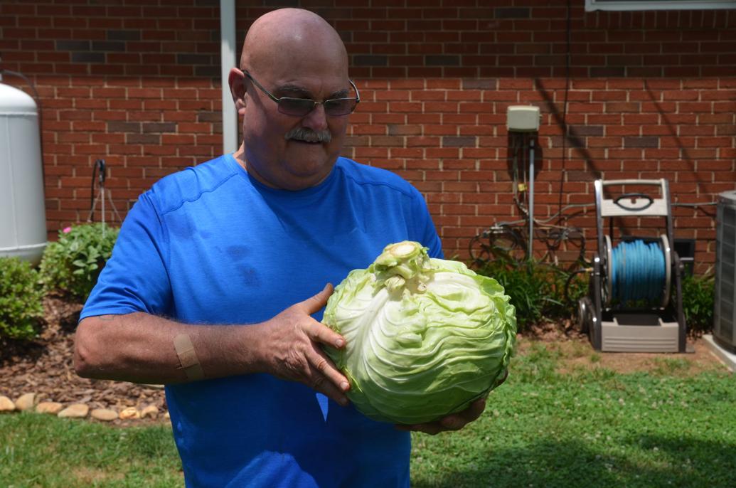 PHOTOS: Local man grows 16-pound cabbage