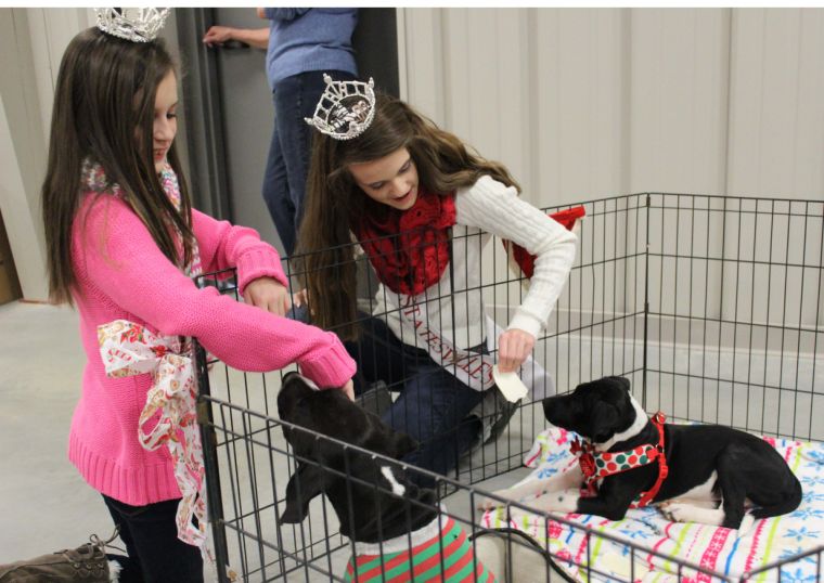 Newmans' Rescue Ranch holds adoption fair