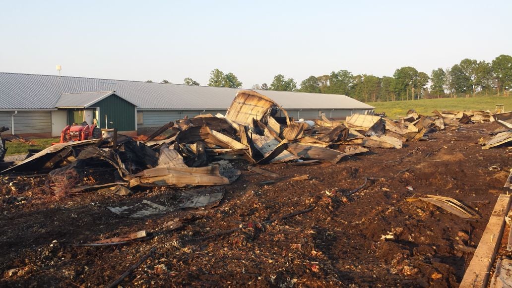 30,000 chickens killed in Fulbright Road fire