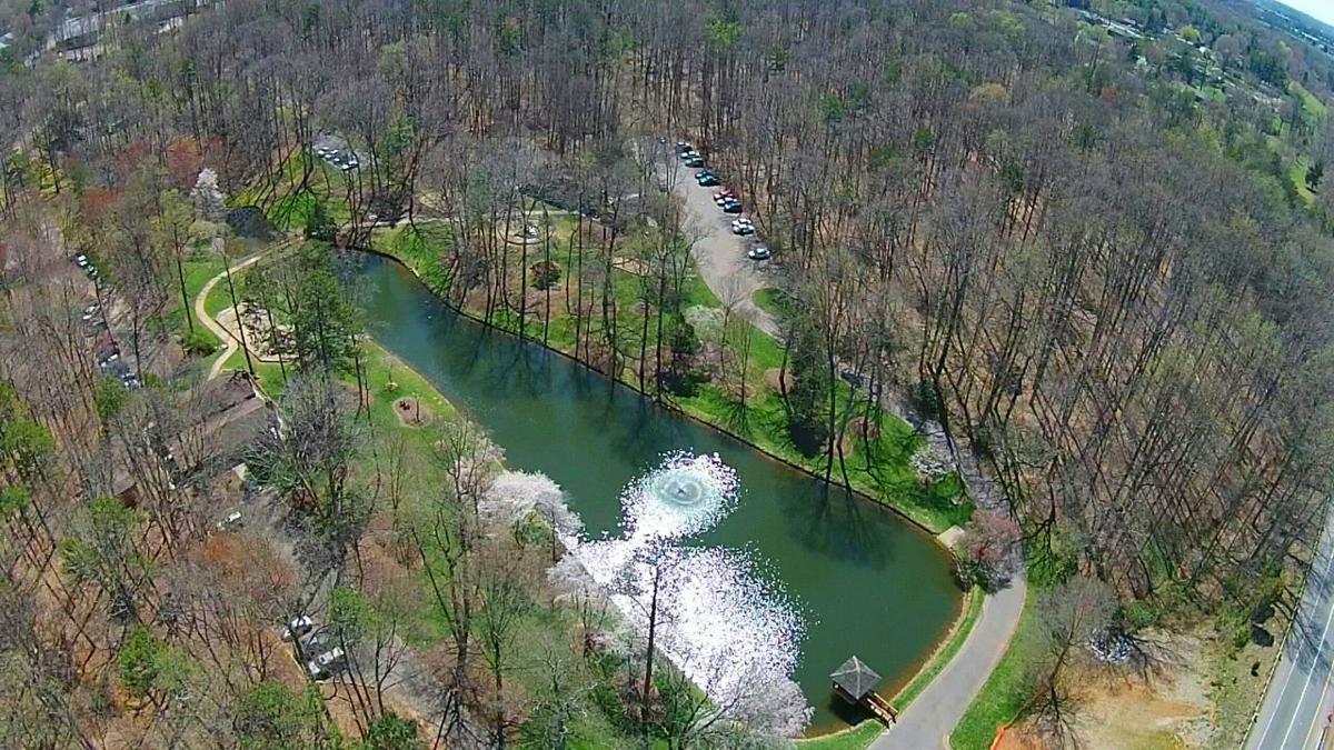 Lakewood Park from above