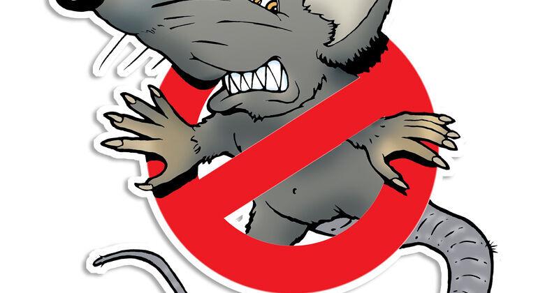 Scott Hollifield: Prepare now for the great rat invasion