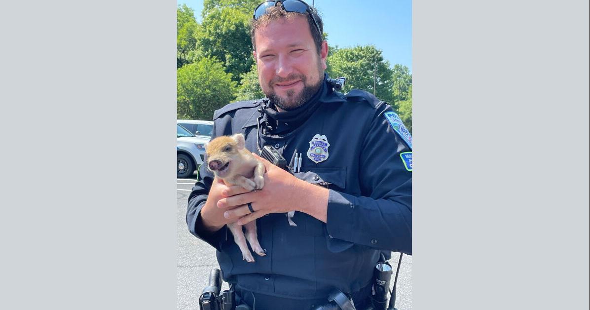 Hickory police officer catches piglet on job, gets Bacon