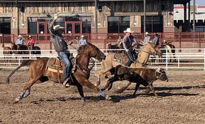 Tucker savoring rodeo lifestyle