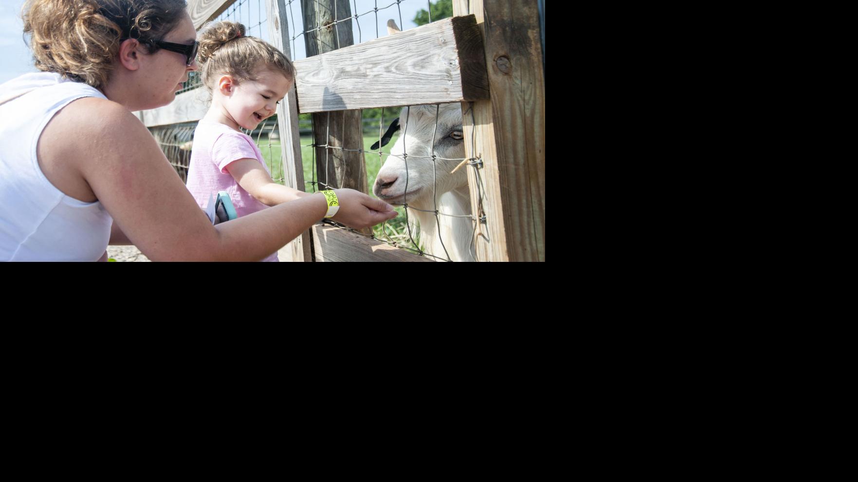 PHOTOS: Families enjoy Rescue Ranch activities in Statesville ...