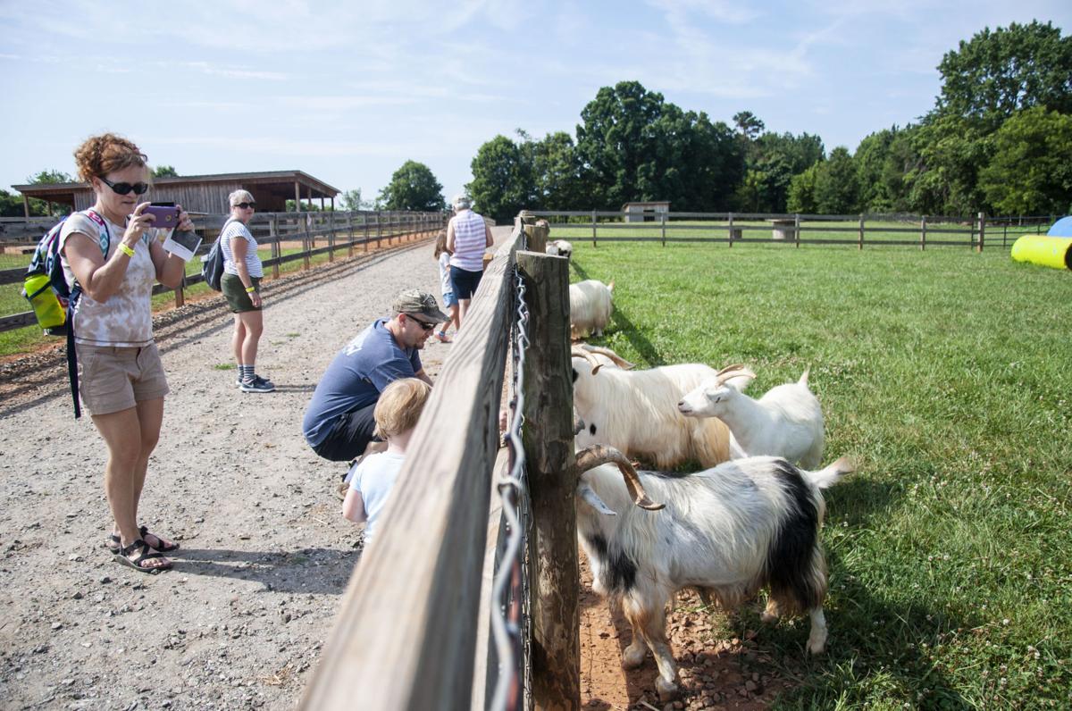 PHOTOS: Families enjoy Rescue Ranch activities in Statesville ...