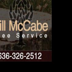 Bill McCabe Tree Service, LLC