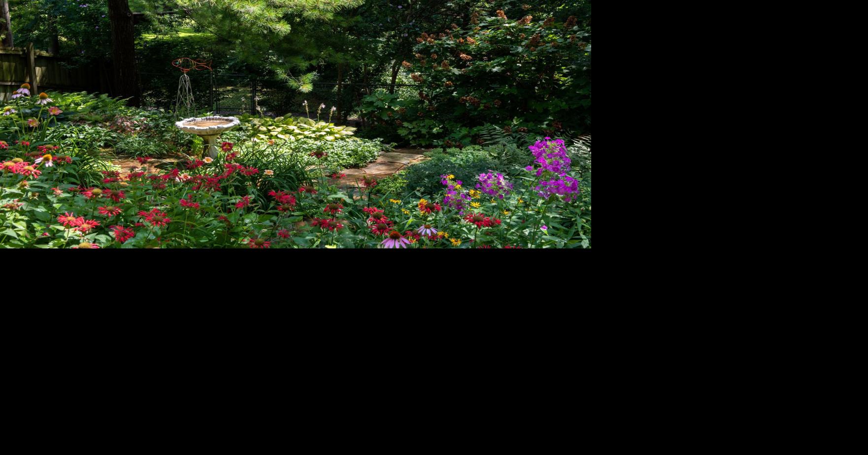 Meet our 2019 Great Garden Contest winners