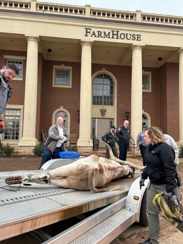 Dead longhorn dumped at OK St. frat before Big 12 title game