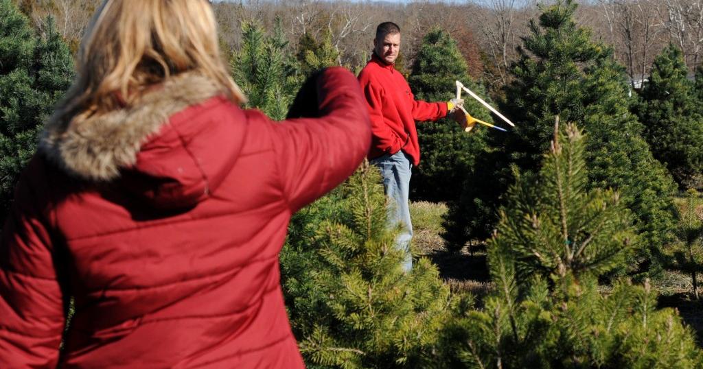 Meert Tree Farm ready for Christmas
