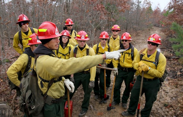 Who set the Mark Twain forest fire?