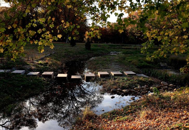 A stream ran underground in Tower Grove Park for 100 years. Now, it's ...