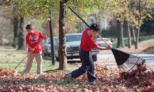 'The Decider' — Raking leaves vs. shoveling snow