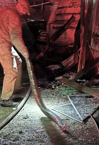 They went to fight a fire. The biggest hazard? Deadly snakes