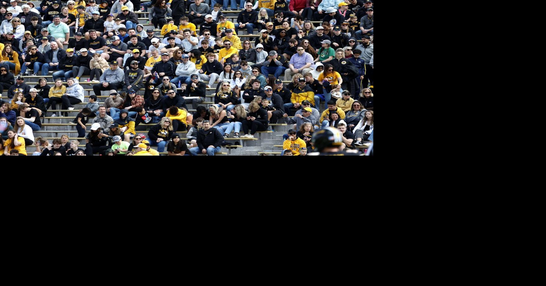 Mizzou to add logos of 2 Columbia companies to Memorial Stadium field ...