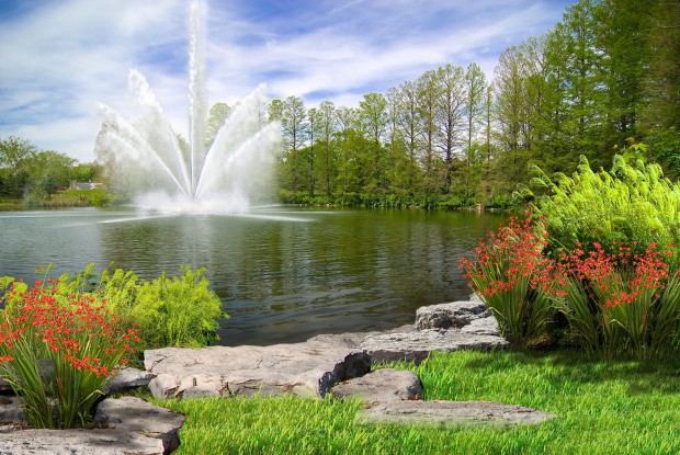 Improvements at Forest Park moving from drawing board to bulldozers