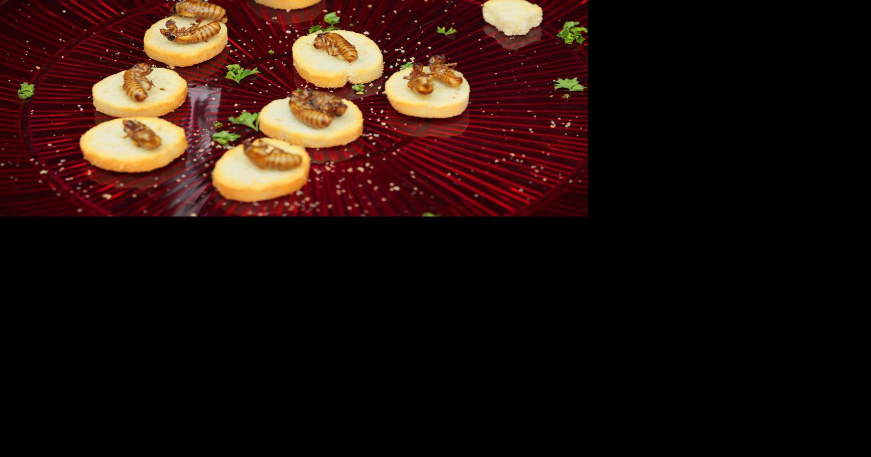 Cicada scampi made at Missouri Botanical Garden