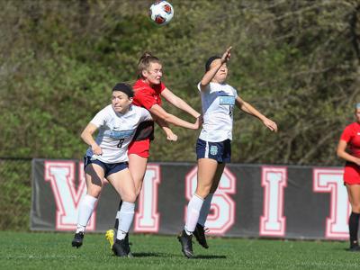 State semifinal spotlight: Freshman forwards power St. Dominic's first ...