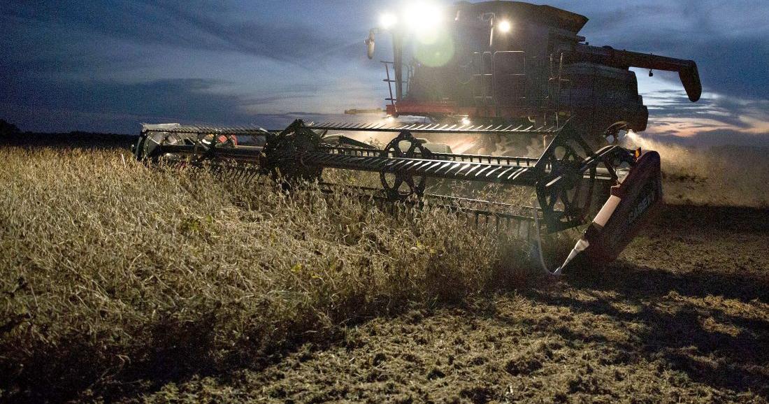 Soybeans drop after surprise forecast of record yields
