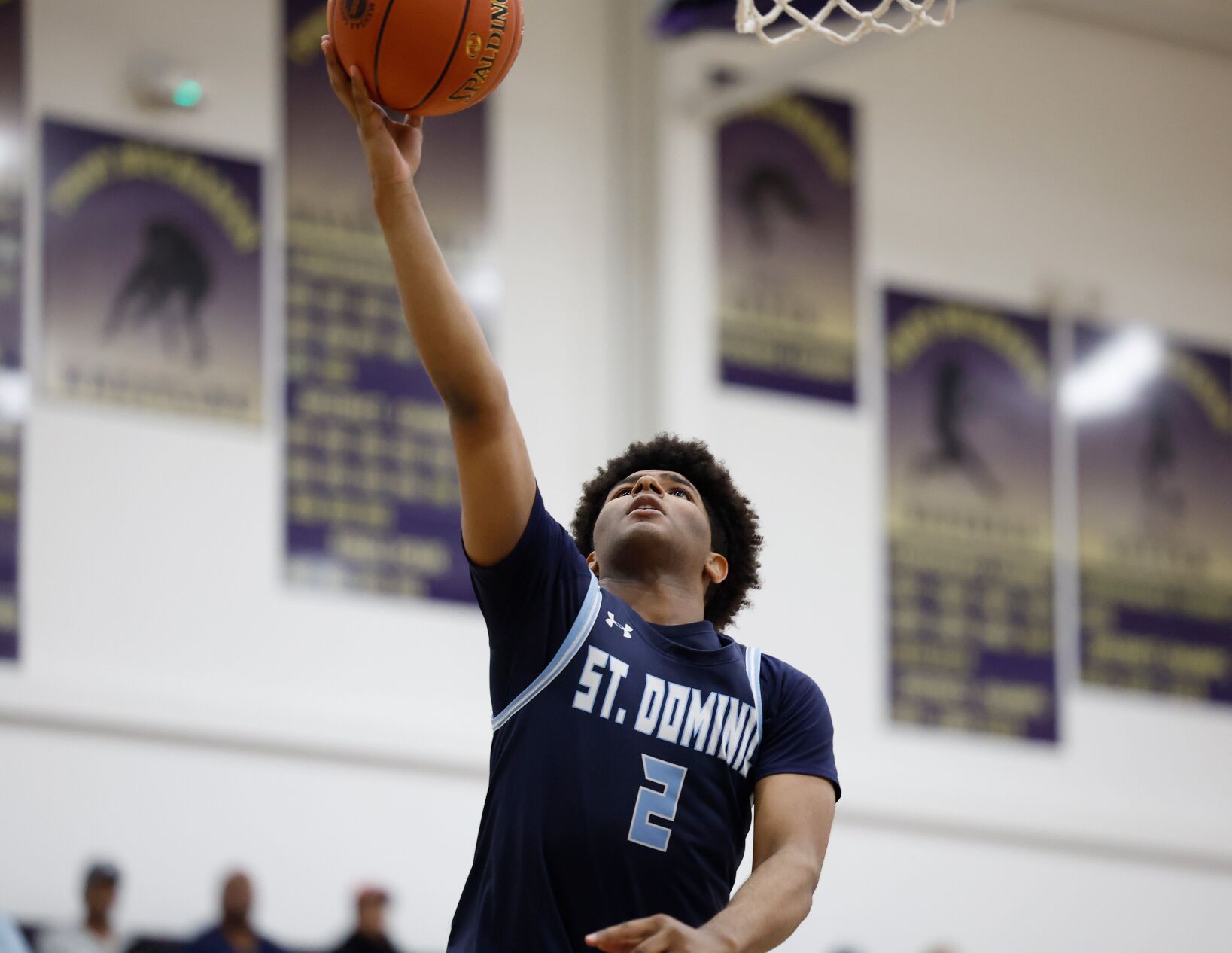 Class 6 District 4 boys basketball final: Francis Howell 46, St. Dominic 39