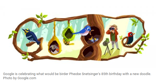 Google Doodle celebrates St. Louisan Phoebe Snetsinger