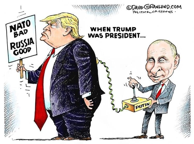 In the cartoons: Putin; Meadows; Zelensky