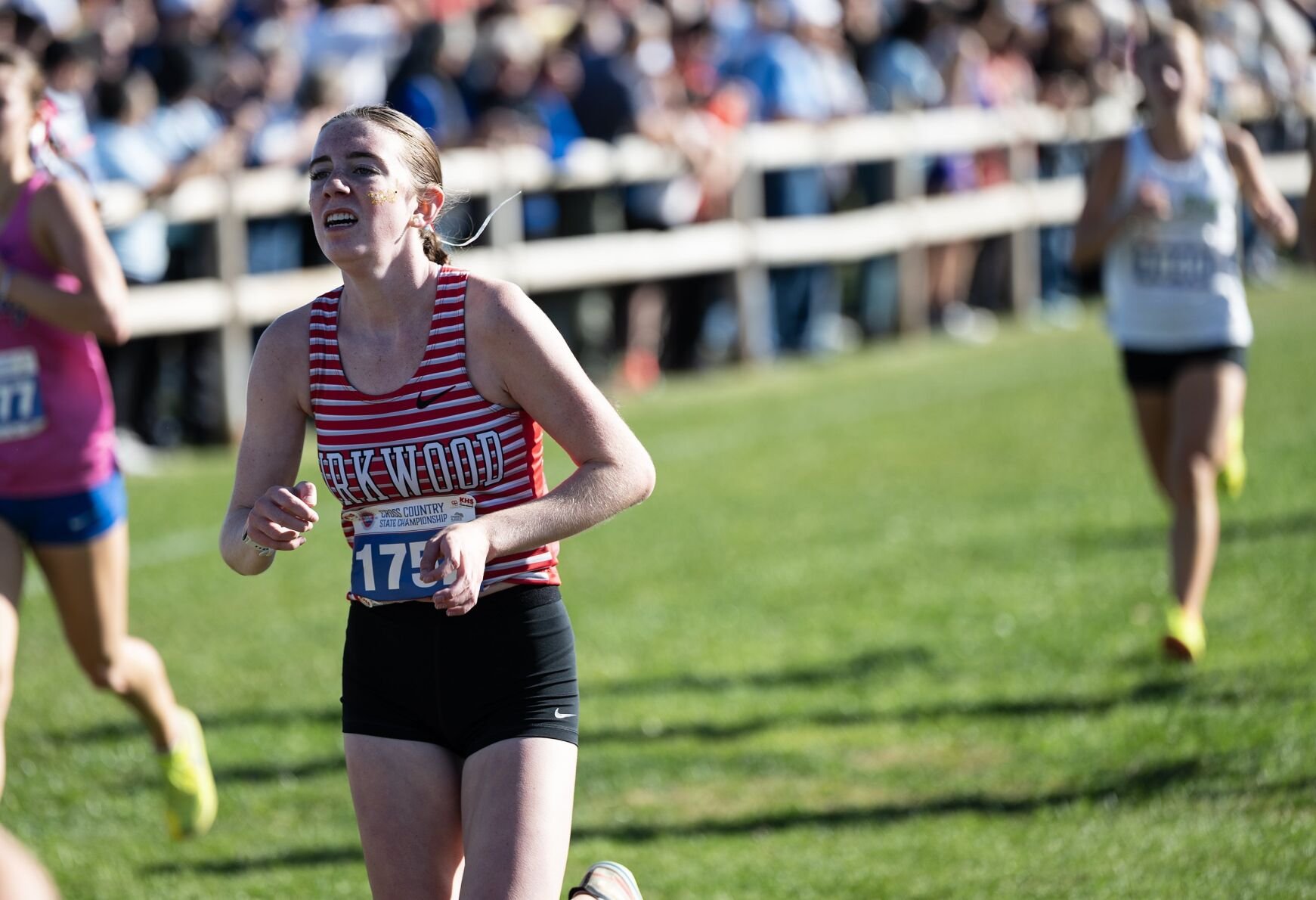 Repeat wins for St. Charles West's Krueger, Festus team: Girls cross ...