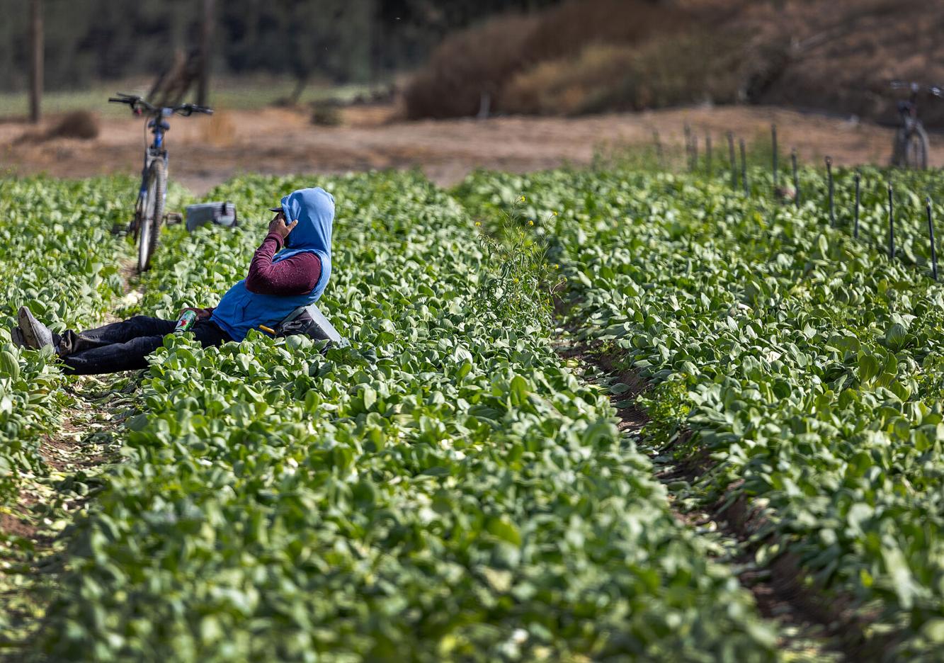 Missouri farmworker among those suing Trump administration over threat ...