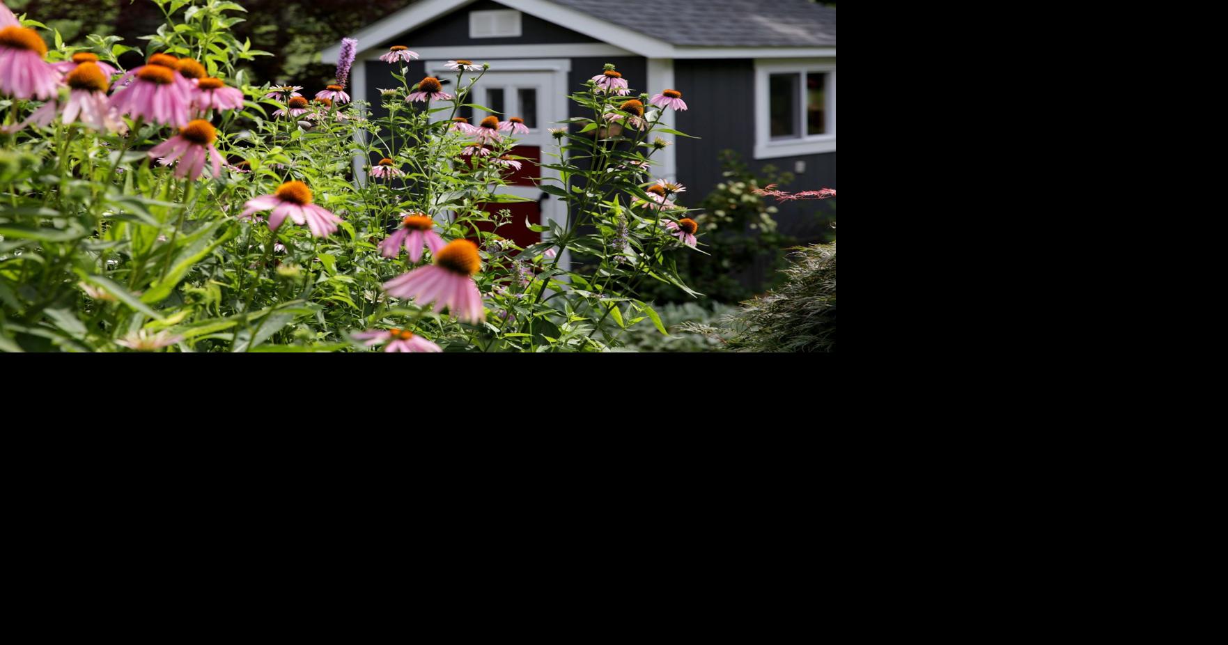 Garden greatness: Meet the winners of our annual contest