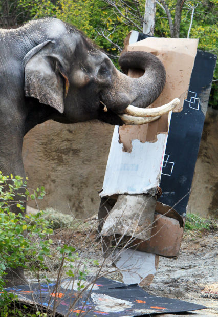 Raja at 20: Still a special place in our hearts | Entertainment ...